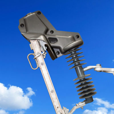 Avian Wildlife Protection Products | Effectively Prevent Animal Caused ...